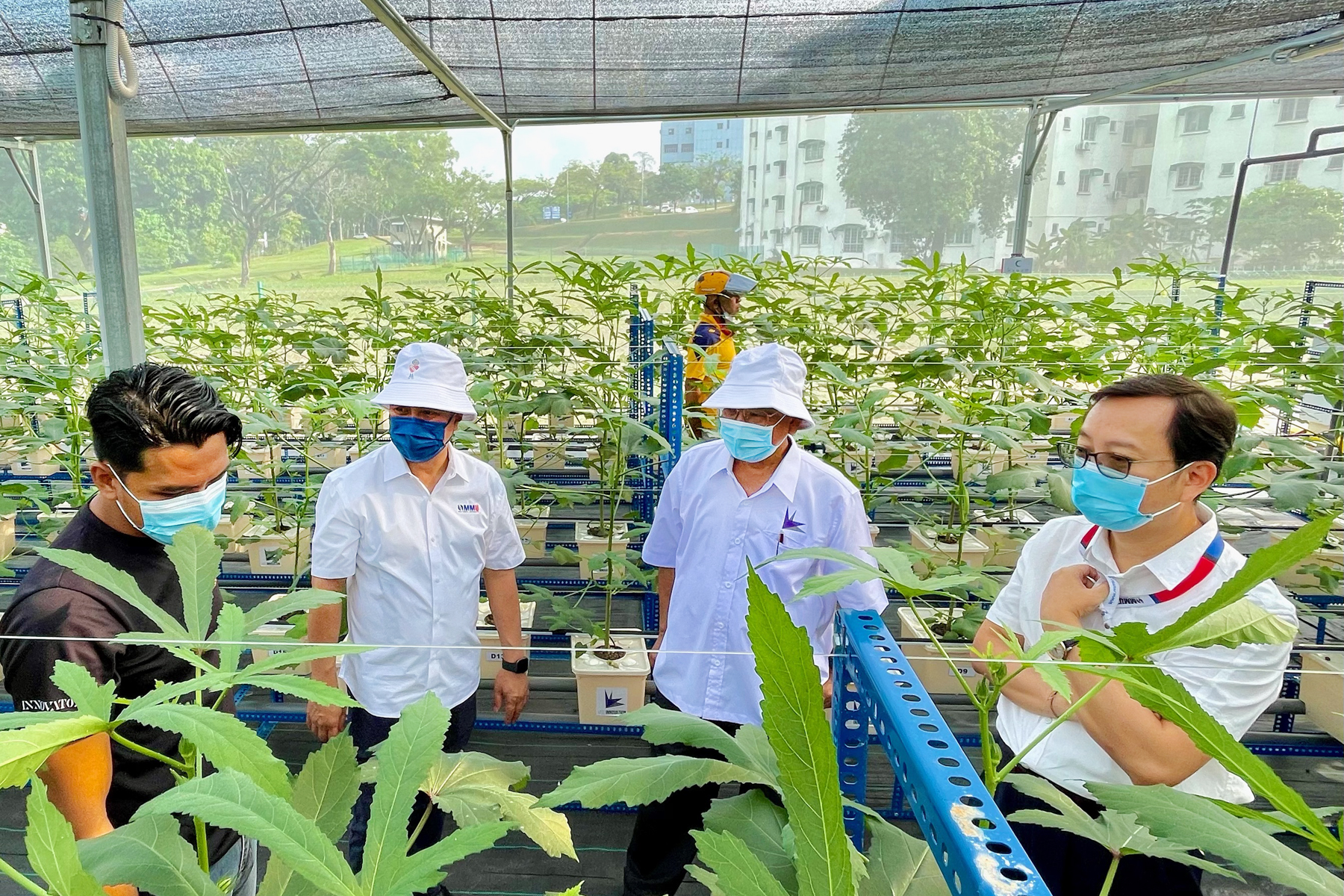 MMU Launches IoT-Based Smart Farming Lab - Multimedia University